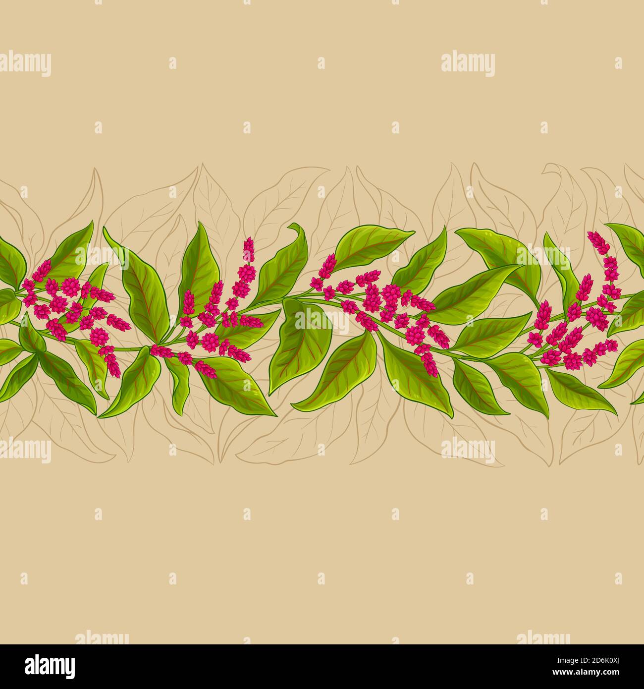 Amaranth Stock Vector Images - Alamy
