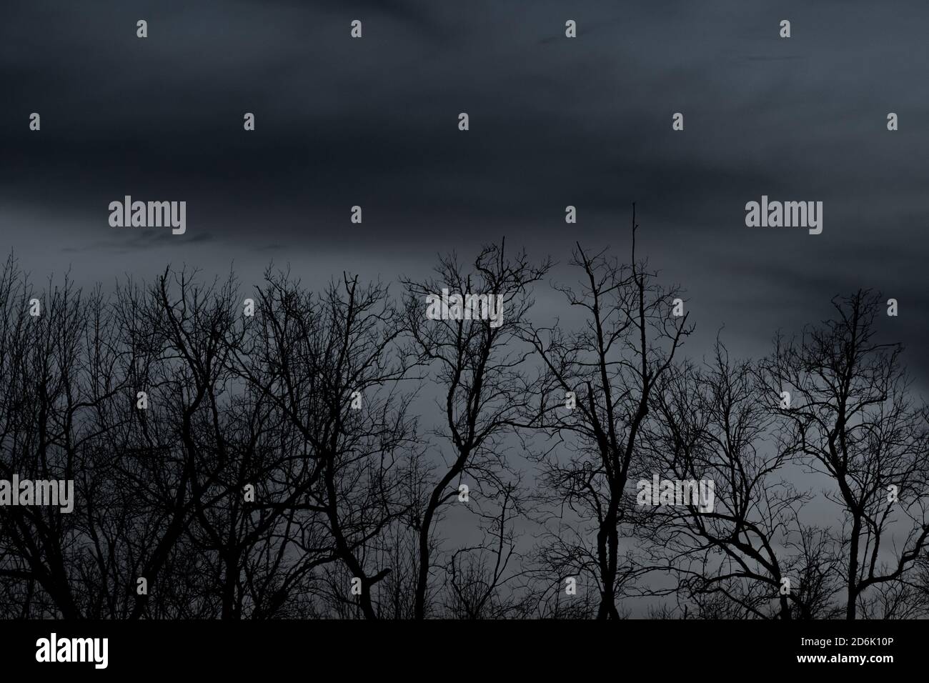 Silhouette dead tree on dark dramatic sky and black clouds. Dark sky ...