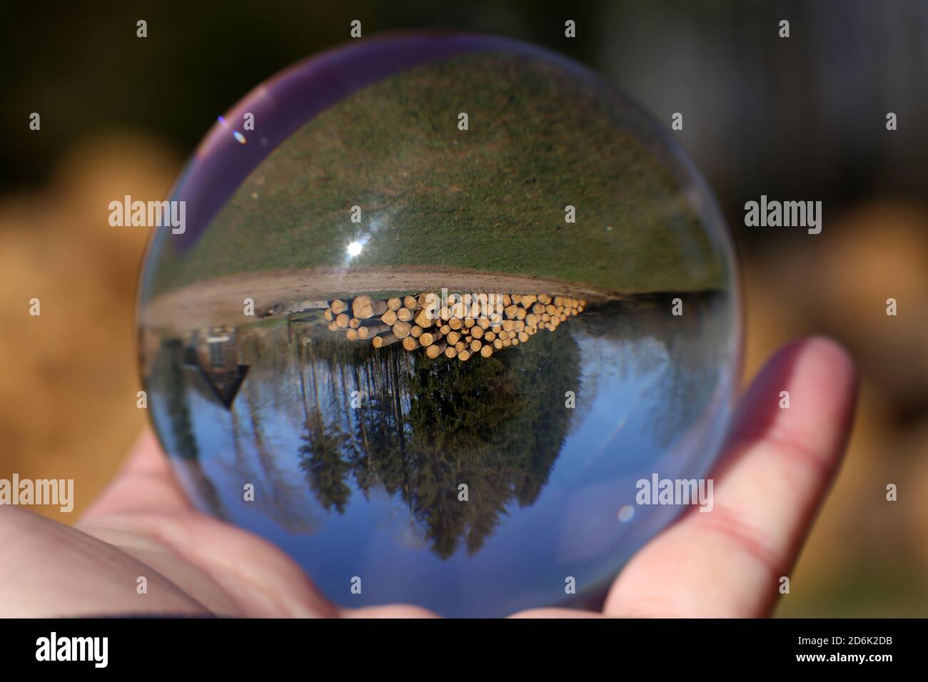 Shallow focus shot of freshly sawn logs and trees through a glass ball ...