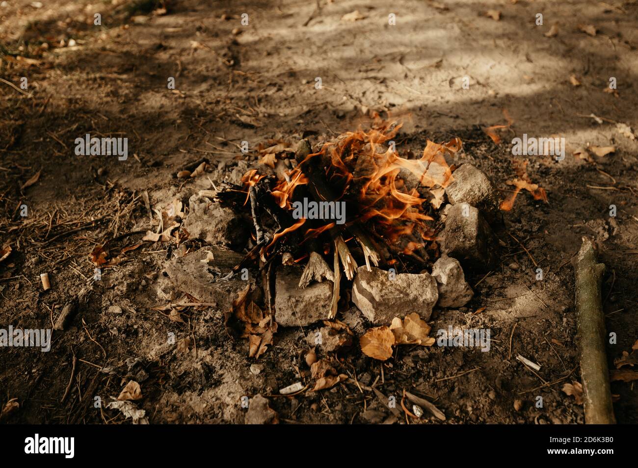 Making campfire at a forest. Fire place in the forest, burning wooden ...