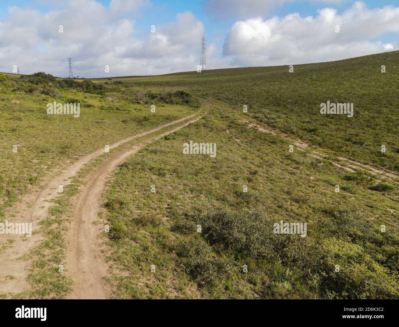 Electric in nature hi-res stock photography and images - Alamy