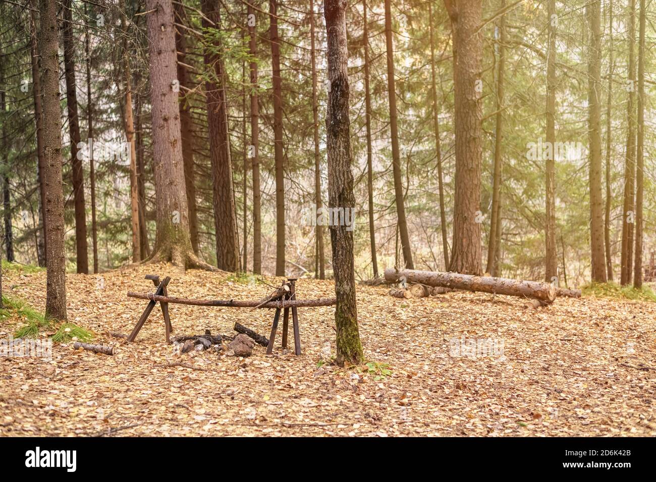 Campfire pine trees forest hi-res stock photography and images - Alamy