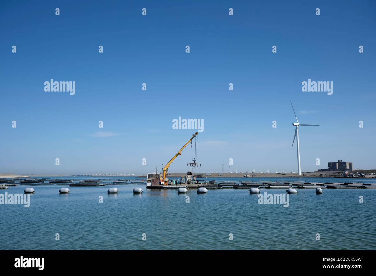 Large mussel farm is in the foreground fot the Storm surge barrier in ...