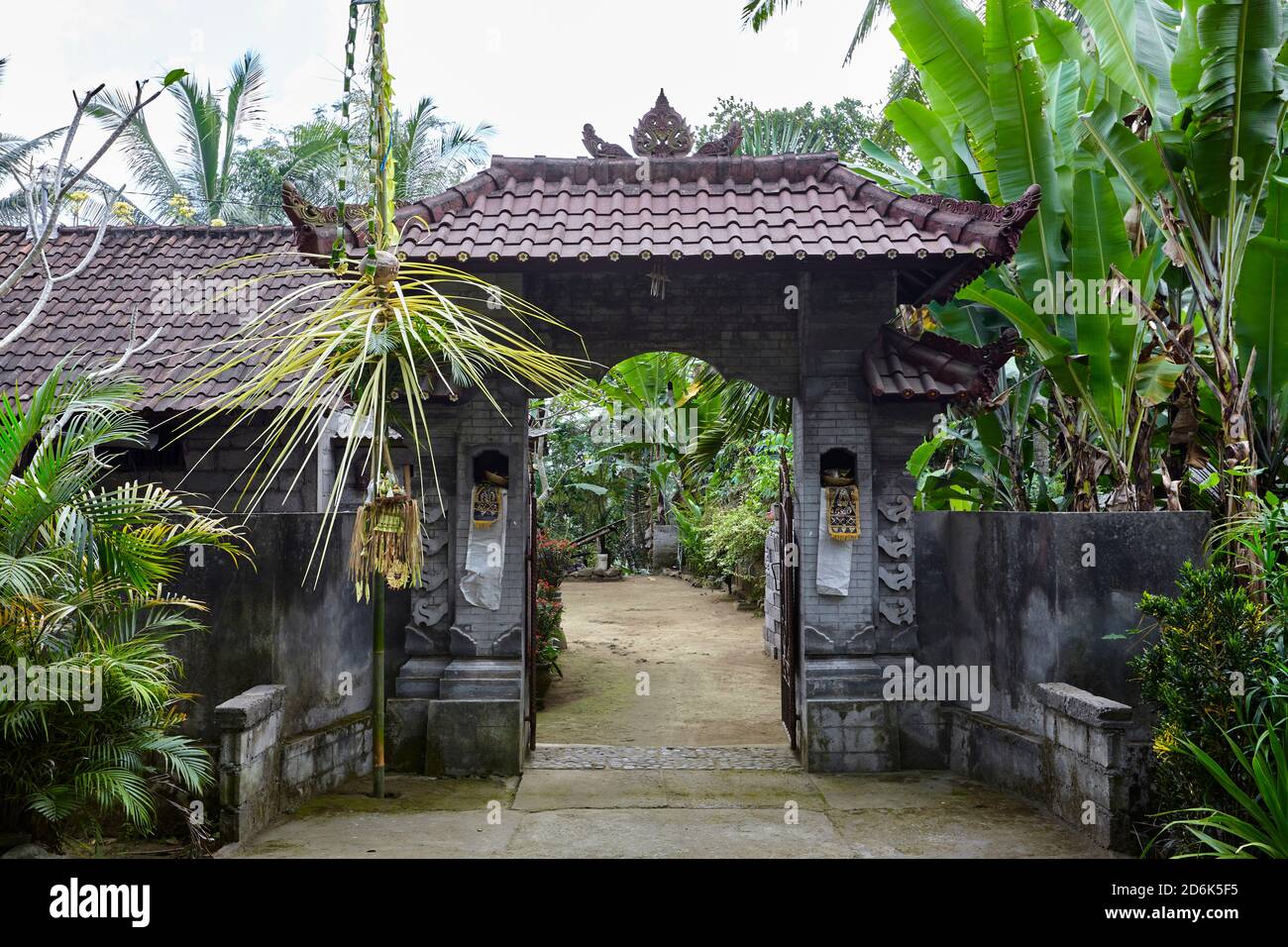 view of the front door in a stone fence surrounded by green plants ...