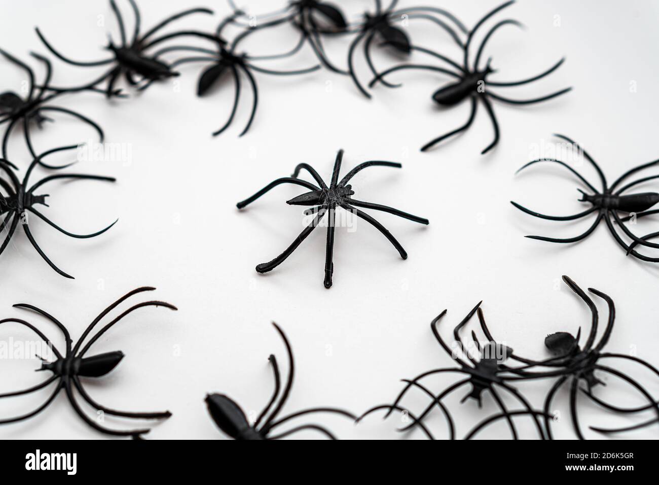 Halloween spiders toys isolated hi-res stock photography and images - Alamy