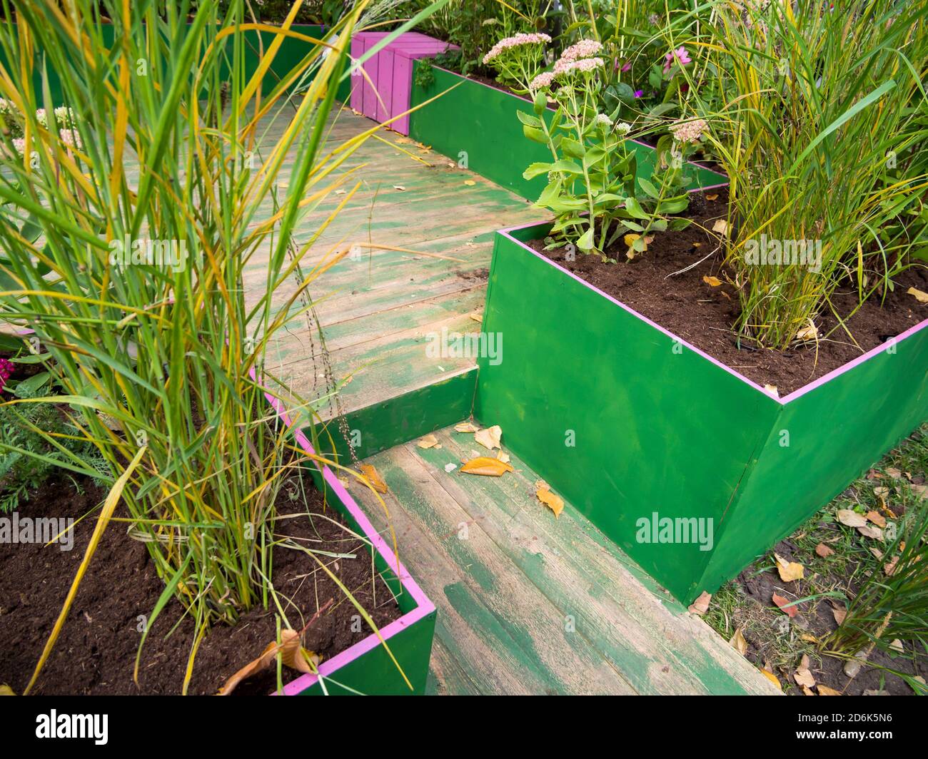 New growth platform hi-res stock photography and images - Alamy