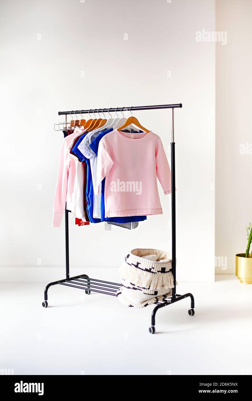 Rack with various feminine shirts placed in minimalist style room with ...