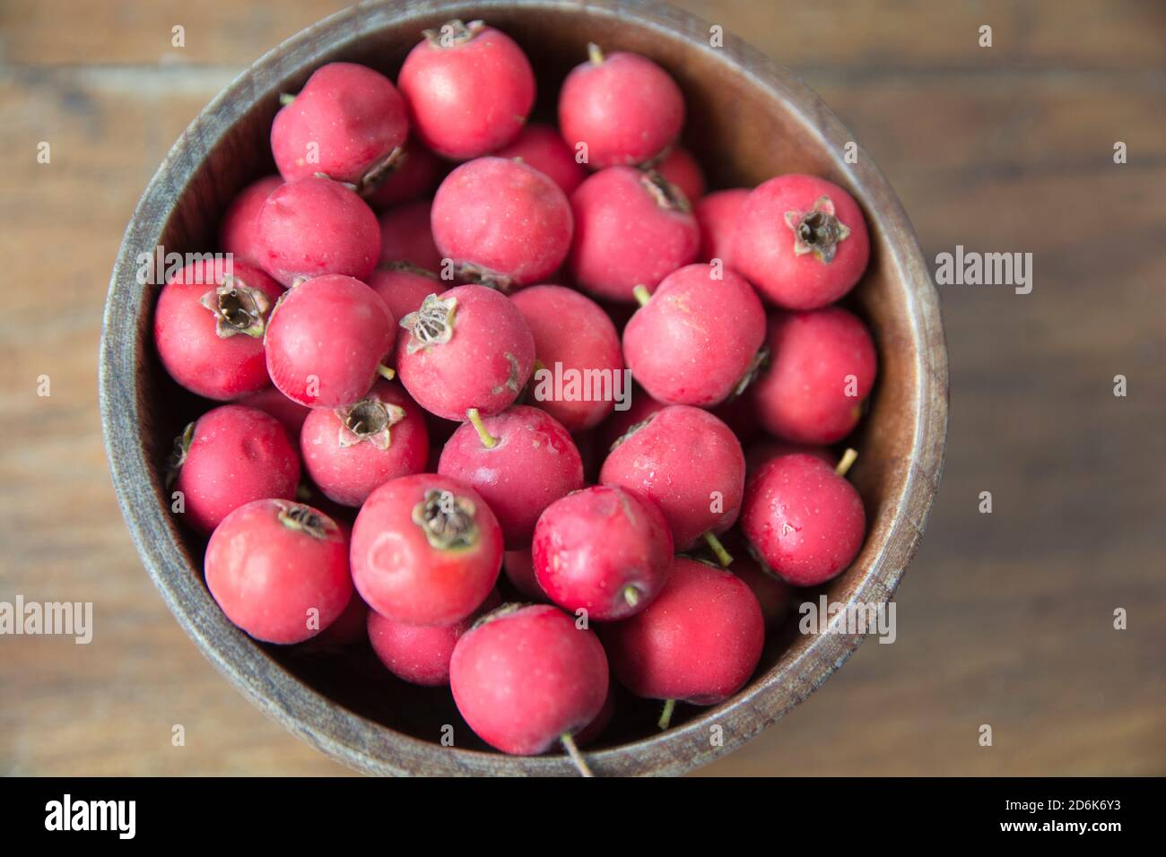 Top view of red Scarlet Hawthorn fruits (Crataegus coccinea), piled up ...