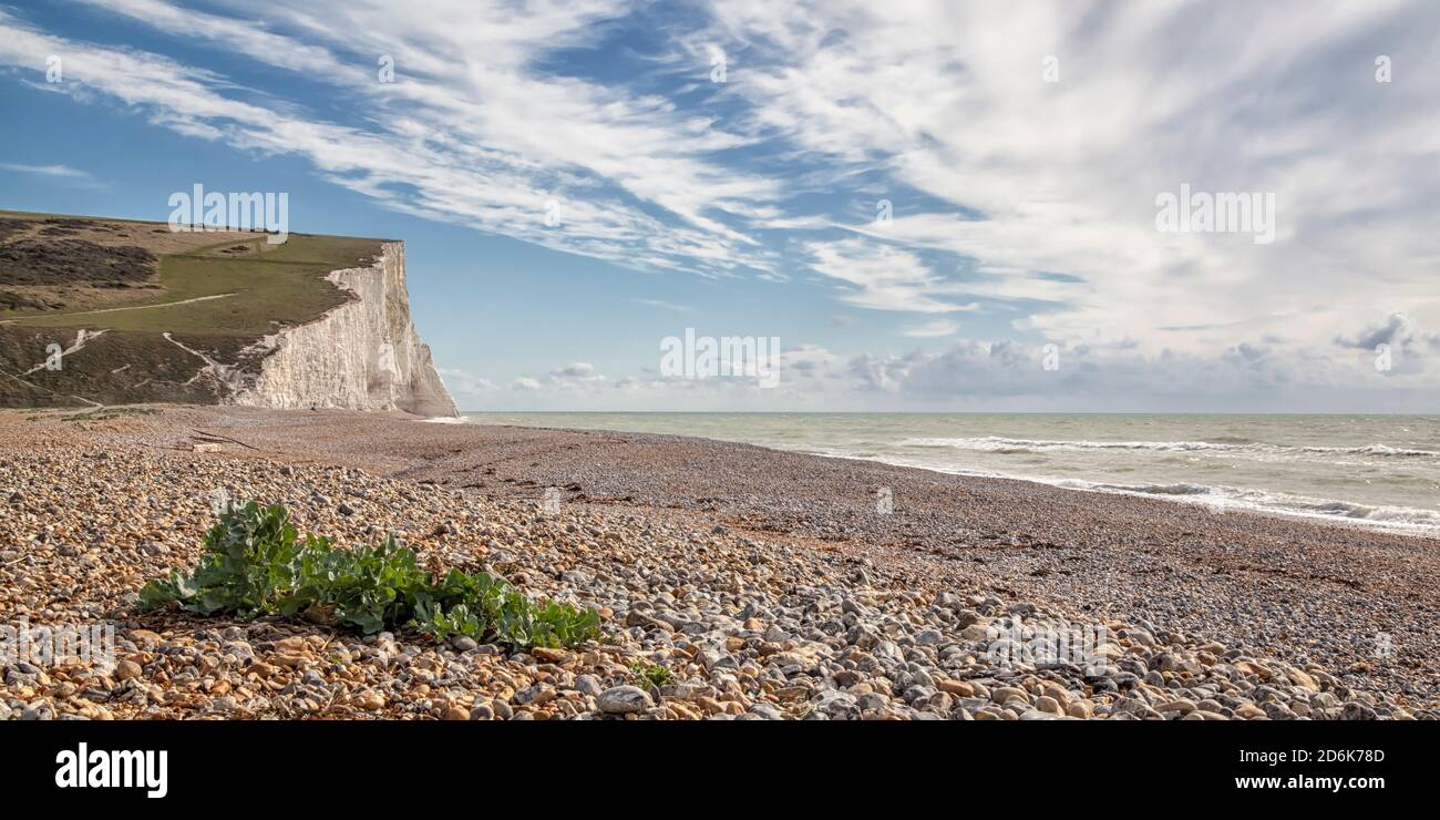 Cliffs on Seaford beach, East Sussex Stock Photo - Alamy