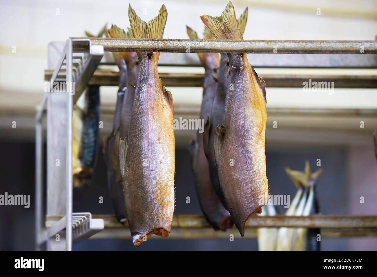 Smoked fish in the industrial production of a fish factory Stock Photo ...