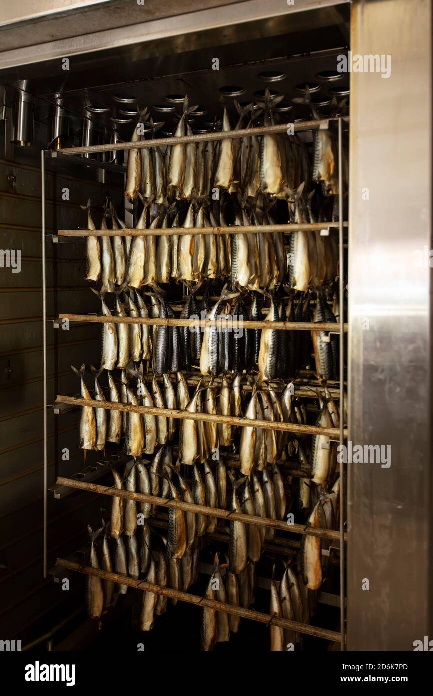 Industrial smoking of fish. Mackerel in a smoking oven Stock Photo - Alamy