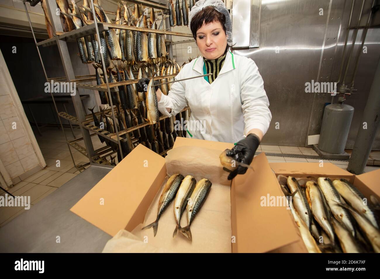 Fish factory.Fish factory worker with smoked fish. Fish industry Stock ...