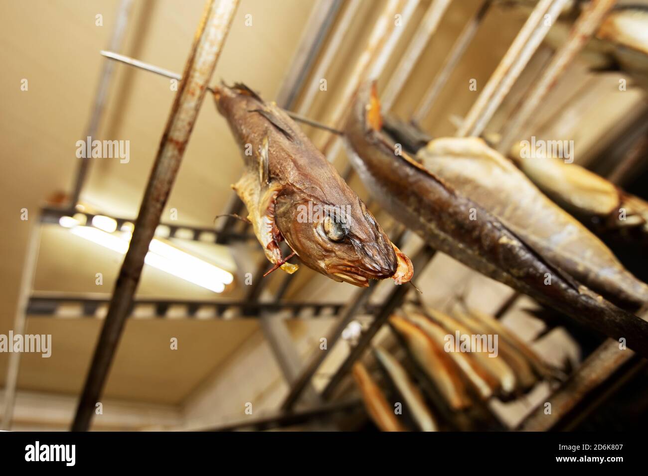 Fish rasp hi-res stock photography and images - Alamy