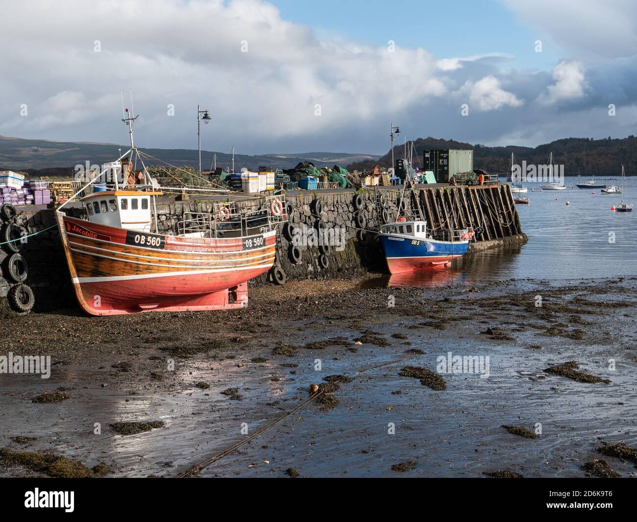 Low Tide Fishing