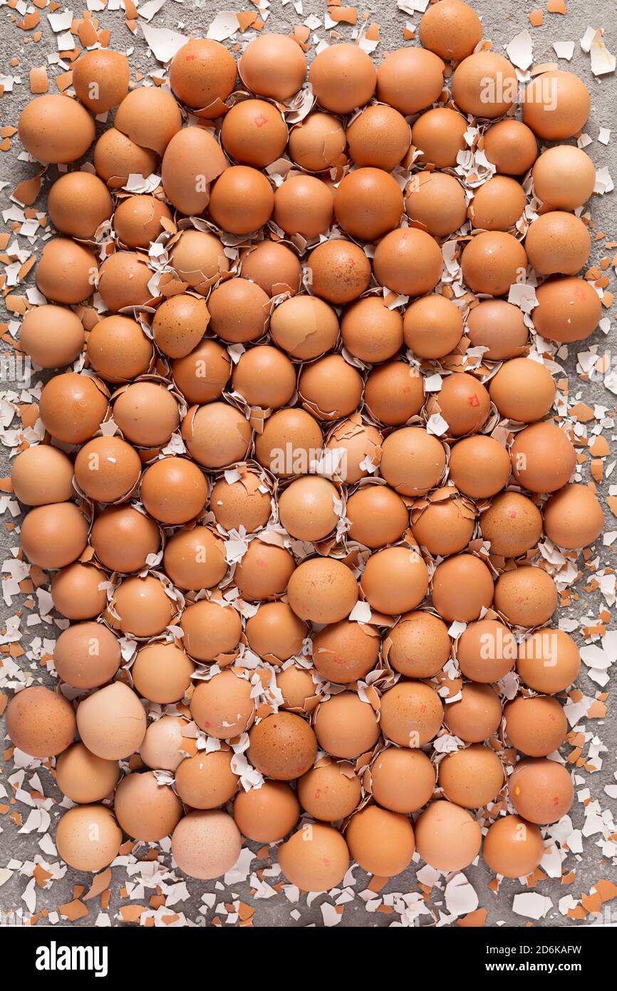 Egg shell texture, background from halves of an egg shell, top view ...