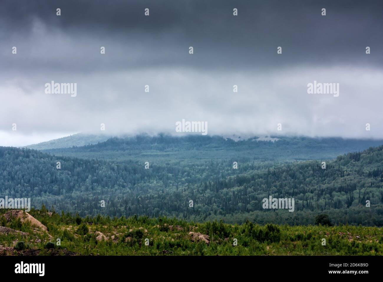 Clouds in the mountain forest hi-res stock photography and images - Alamy
