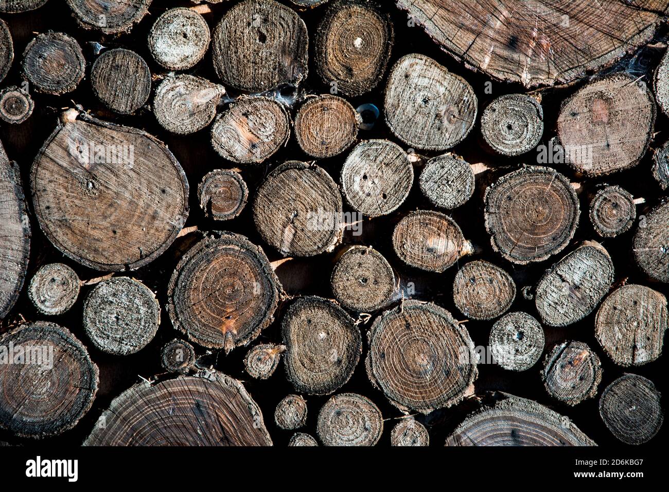 Large and small lumber hi-res stock photography and images - Alamy