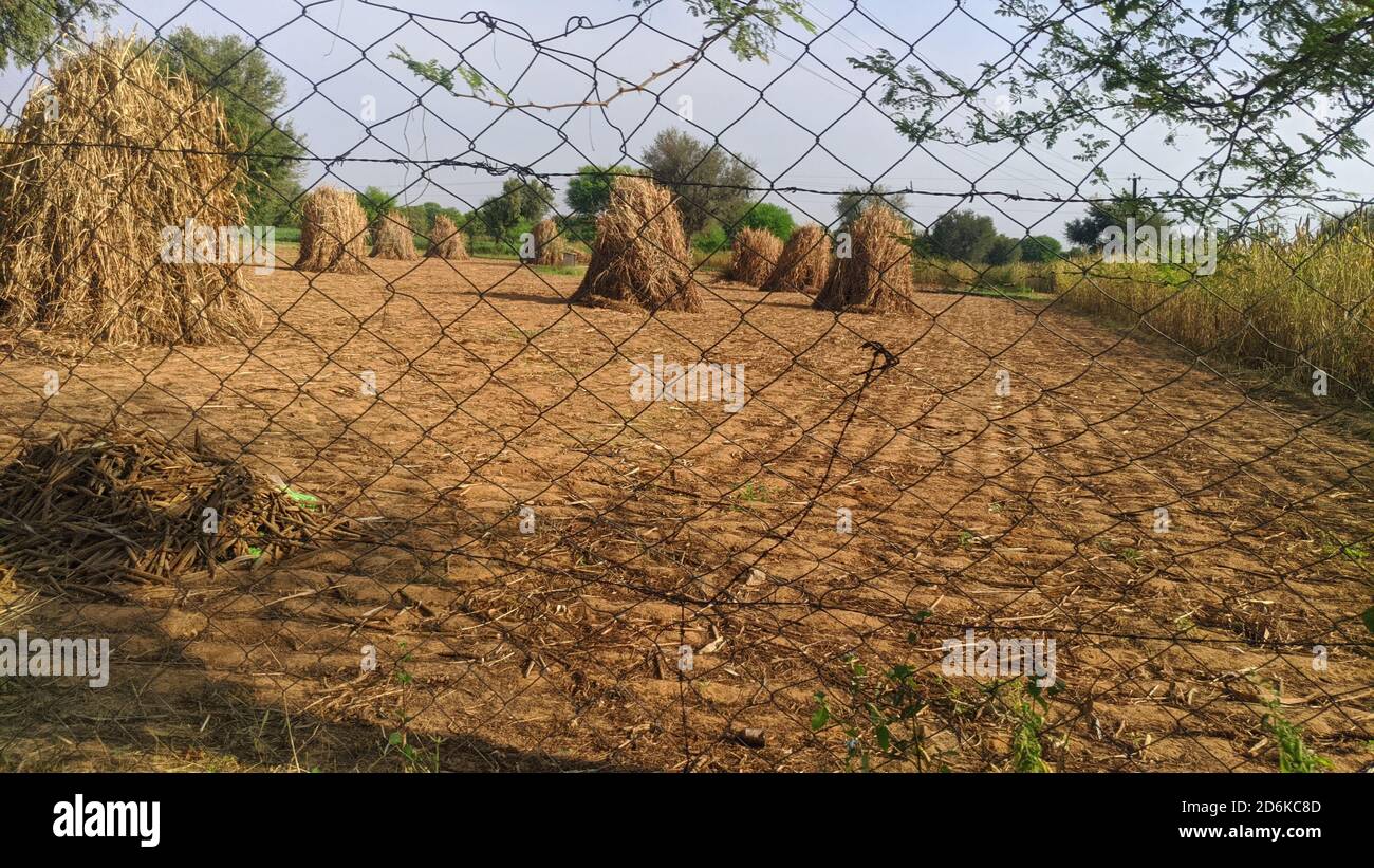 Iron net around the field with attractive crossed design and art Stock ...