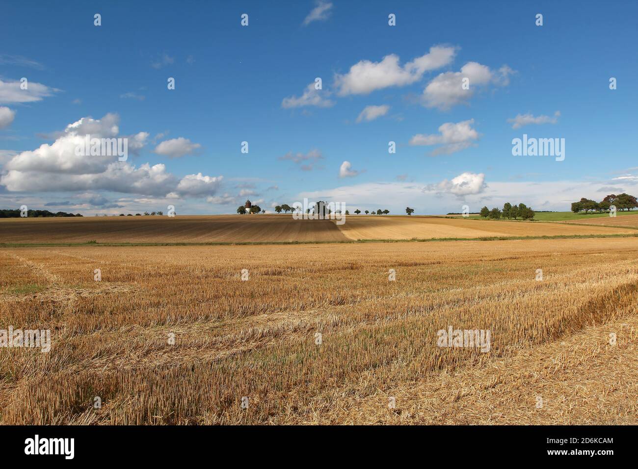 Beautiful shot of a dry grass field Stock Photo - Alamy