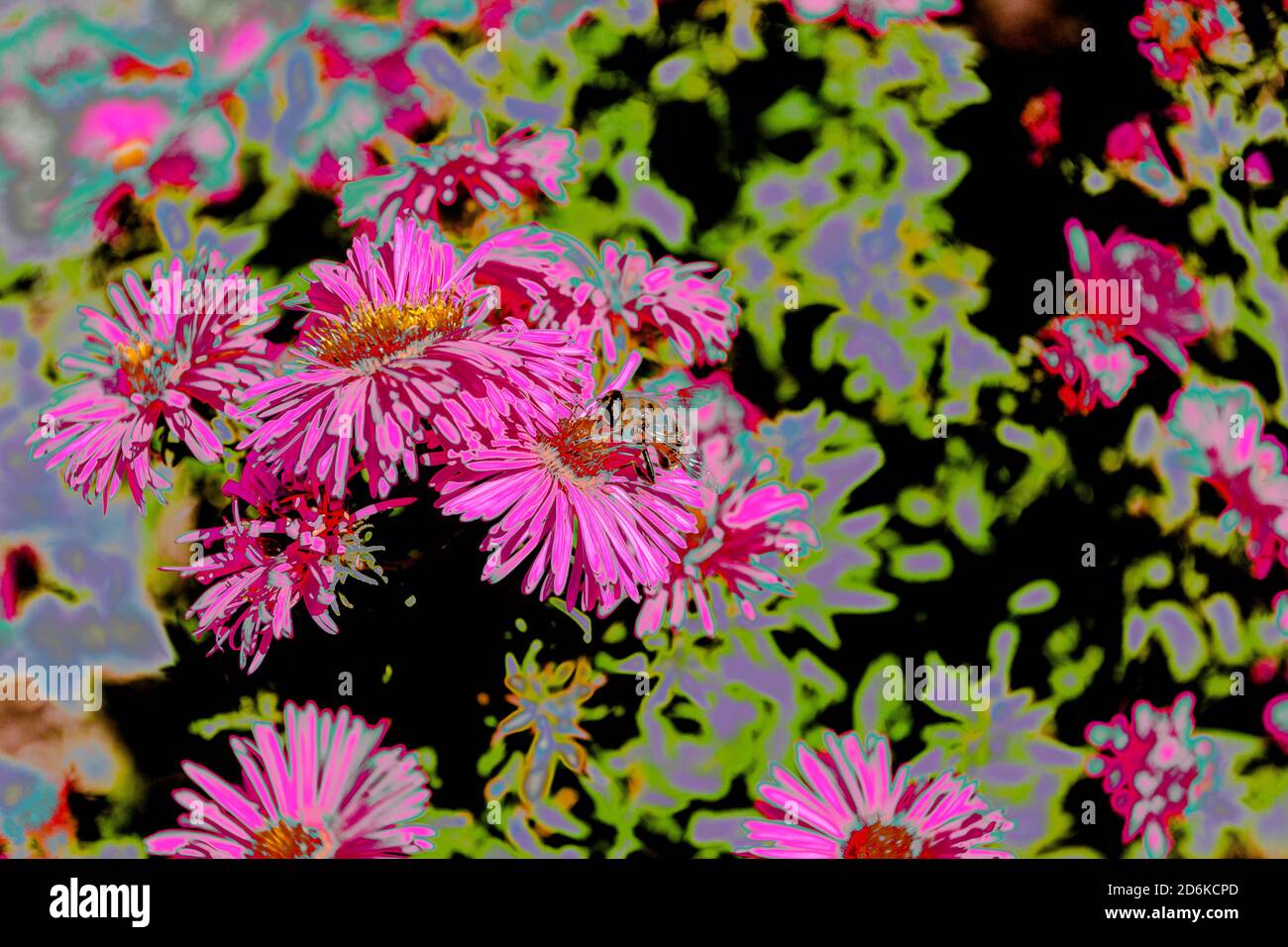 Overexposed flower hi-res stock photography and images - Alamy