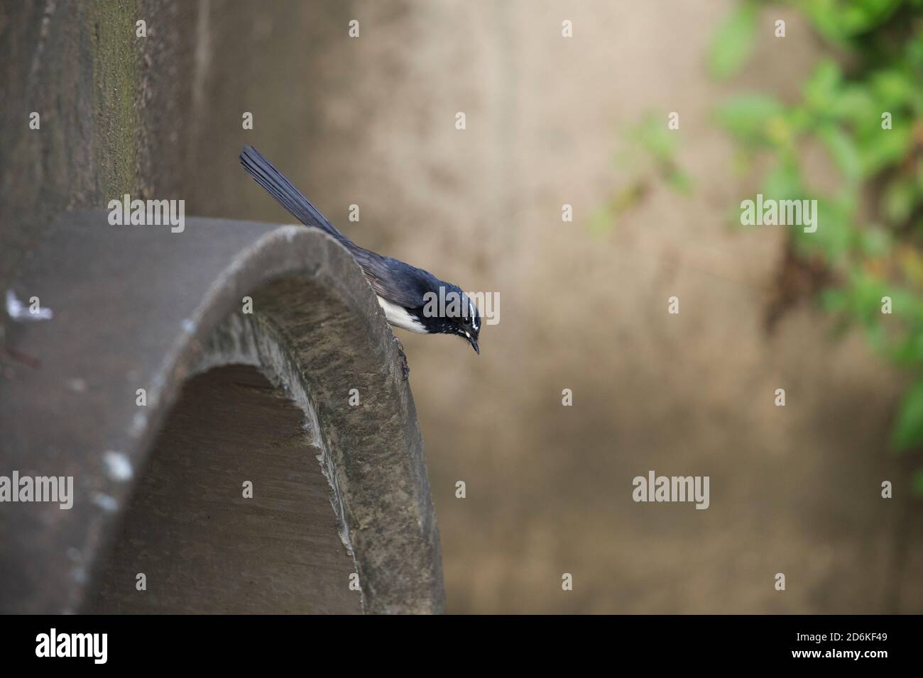 Stormwater drain hi-res stock photography and images - Alamy