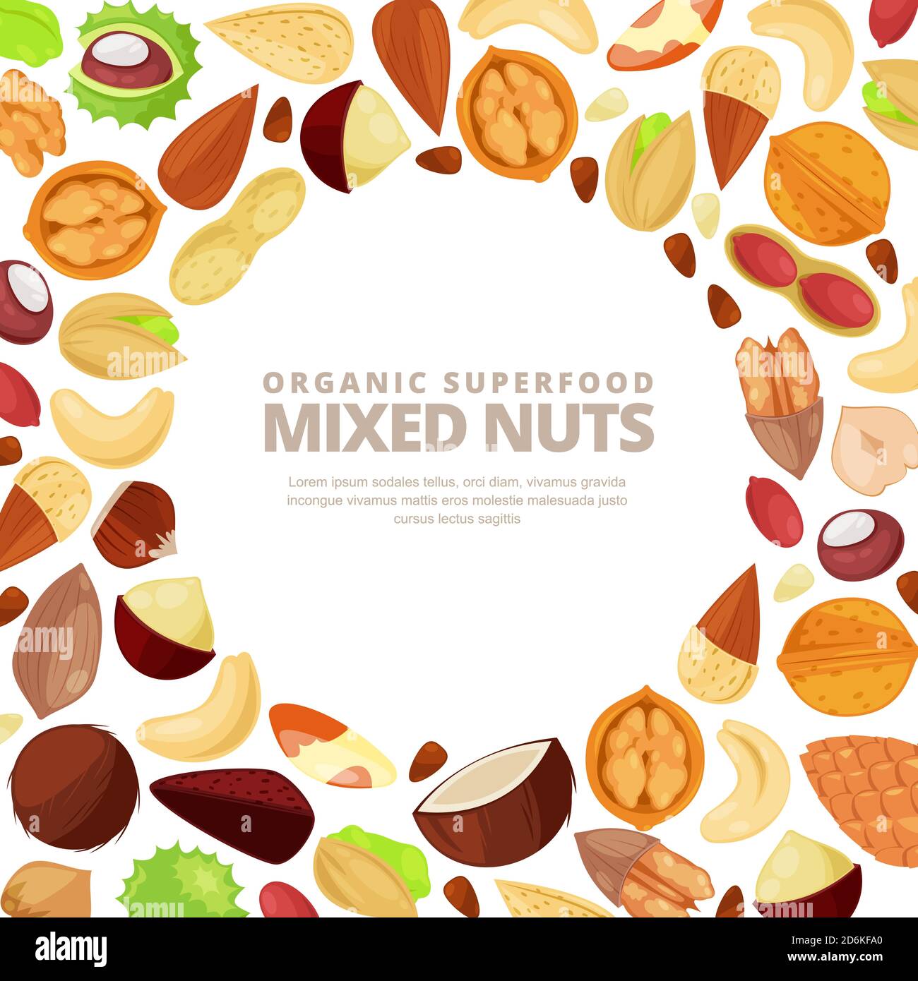 Mixed nuts vector white frame background. Cartoon flat illustration ...