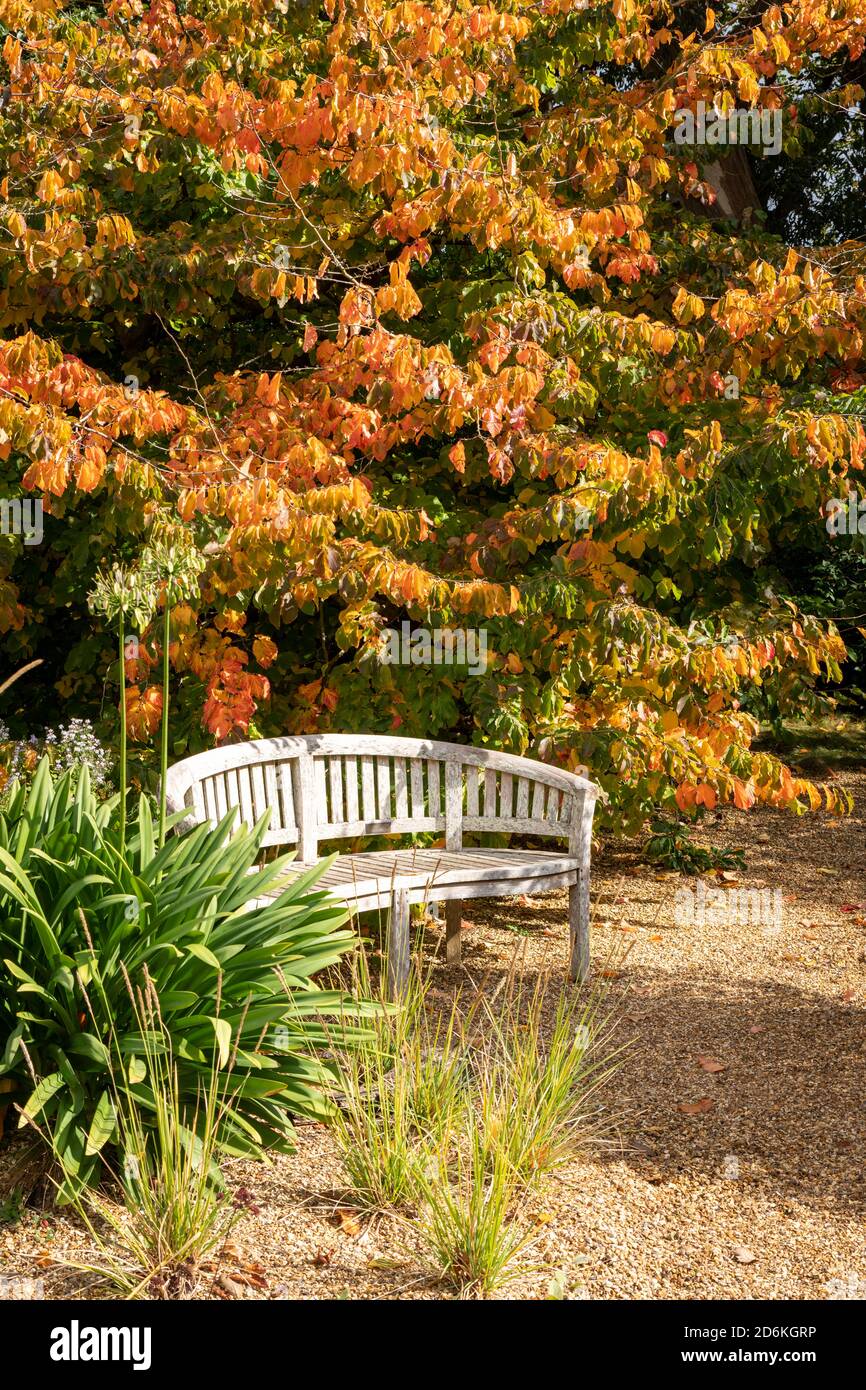 Under seat hi-res stock photography and images - Alamy