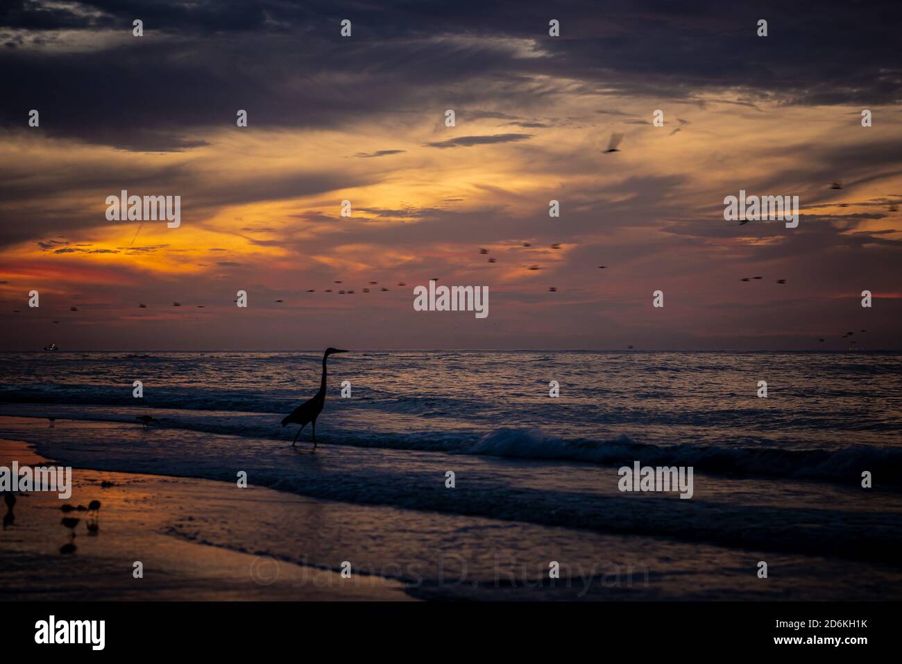Sunset at Anna Maria Island, Florida Stock Photo - Alamy