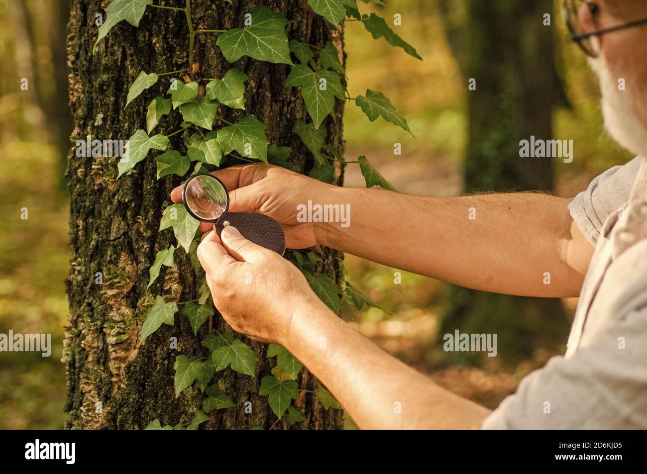 Botany research device hi-res stock photography and images - Alamy