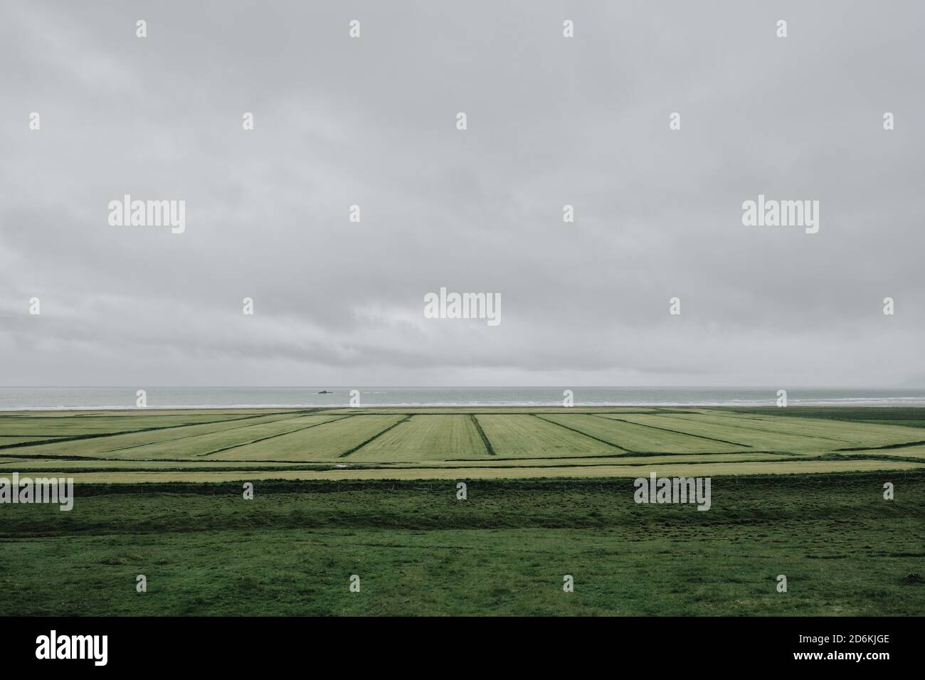 Green grey hi-res stock photography and images - Alamy