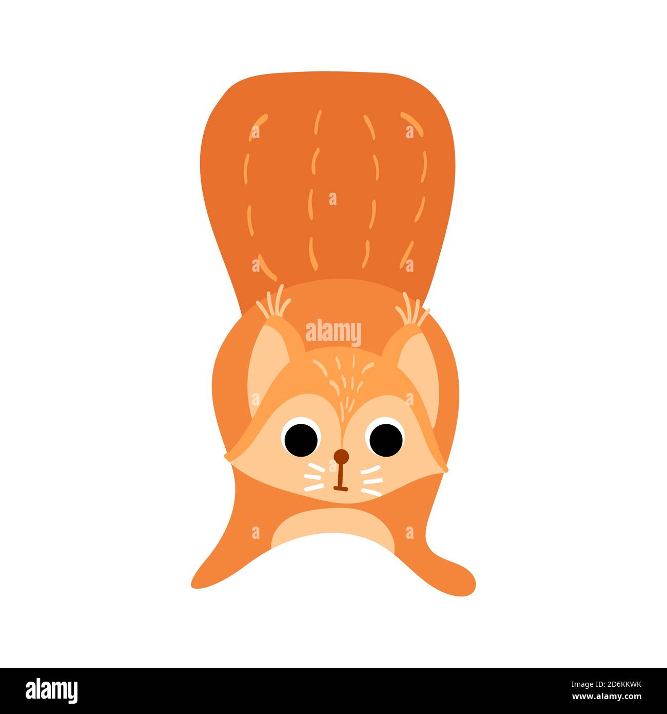Red squirrel front view Stock Vector Images - Alamy