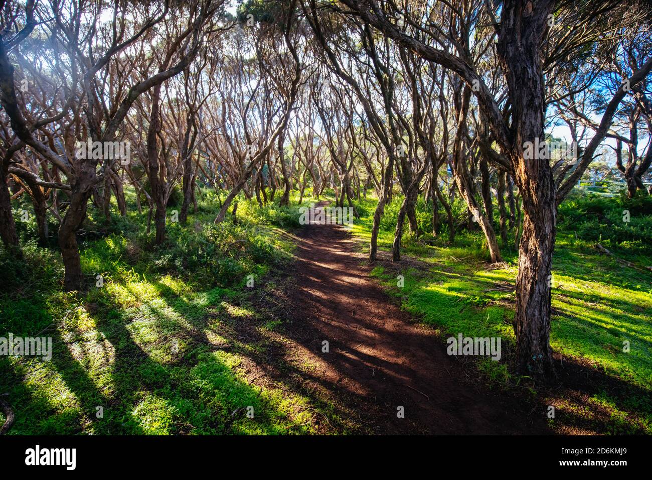 Two Bays Walking Track Stock Photo - Alamy