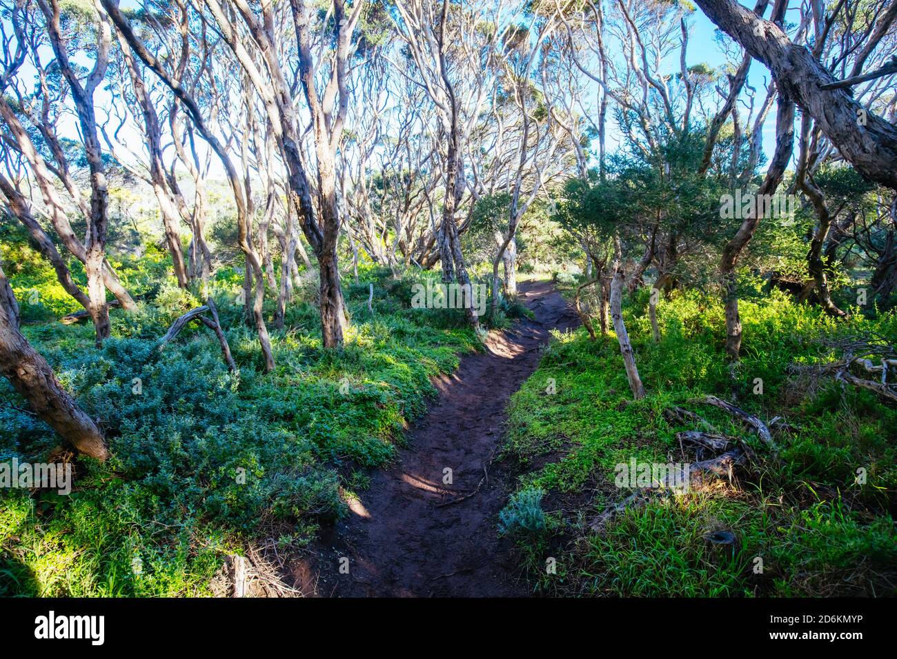 Two Bays Walking Track Stock Photo - Alamy