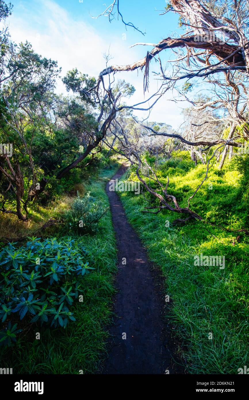 Two Bays Walking Track Stock Photo - Alamy