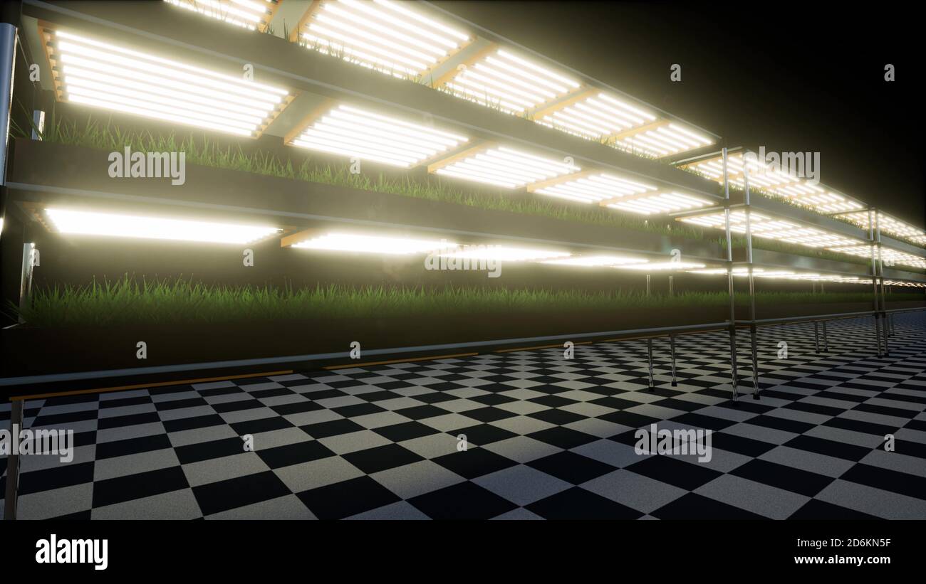 Modern green hydroponics Healthy food vegetable plant factory in ...