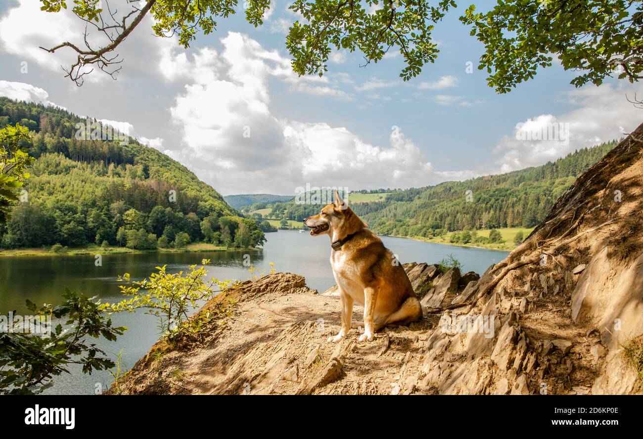 Eifel National Park High Resolution Stock Photography and Images - Alamy