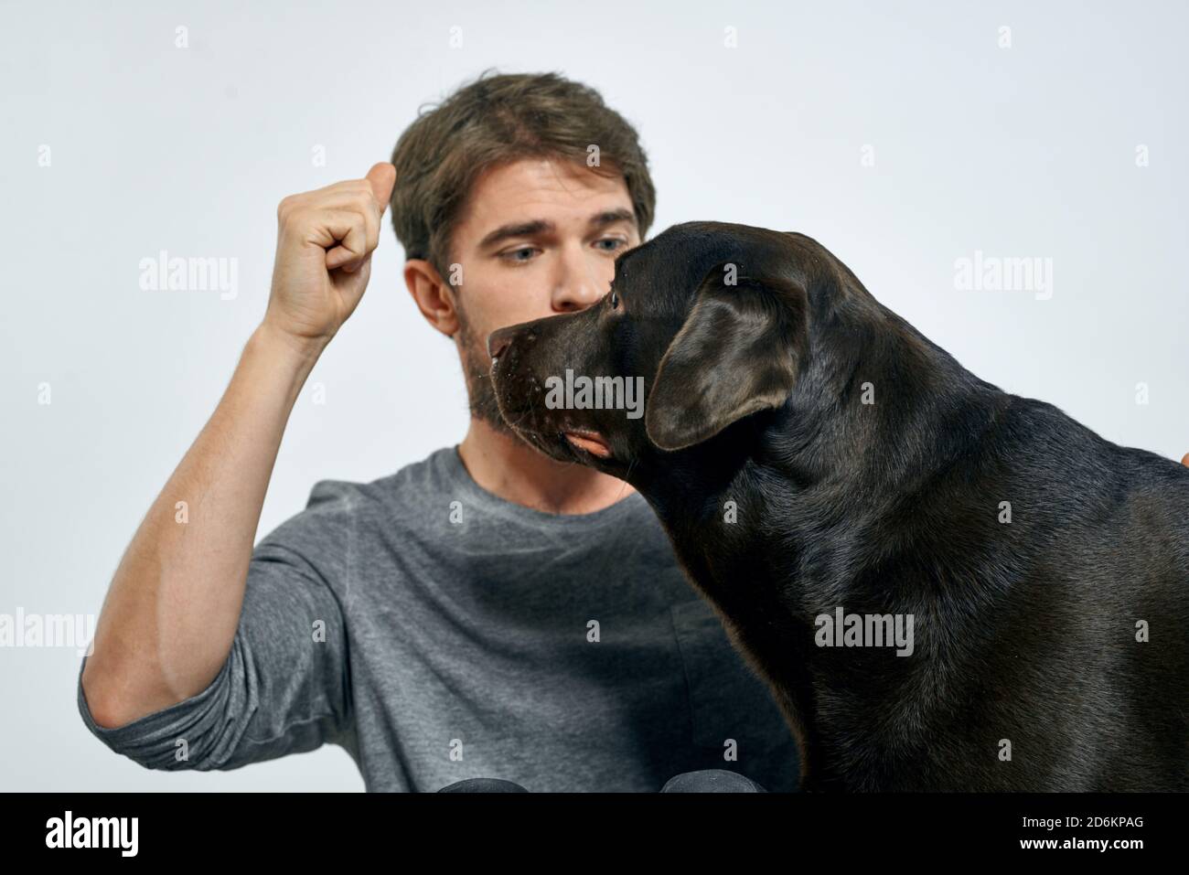 happy owner with pet black dog training model emotions Stock Photo - Alamy