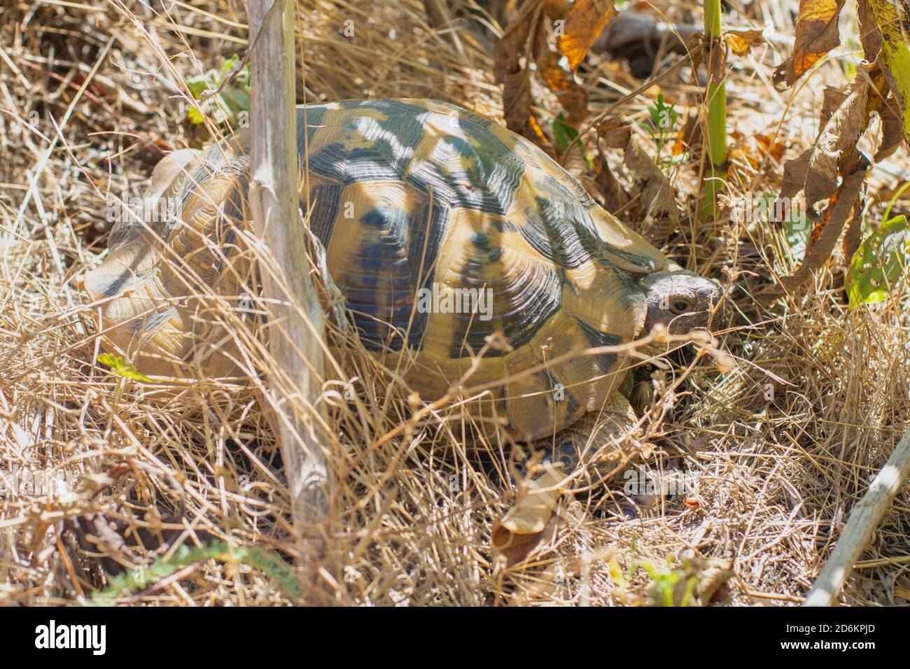 Mediterranean land hi-res stock photography and images - Alamy