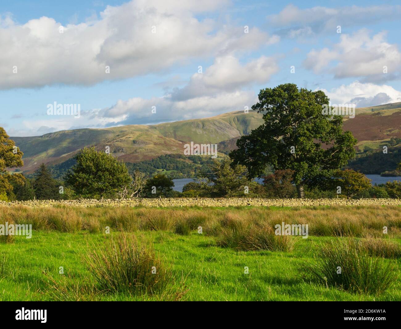 View across field to Ullswater and Lakeland Fells in Lake District ...