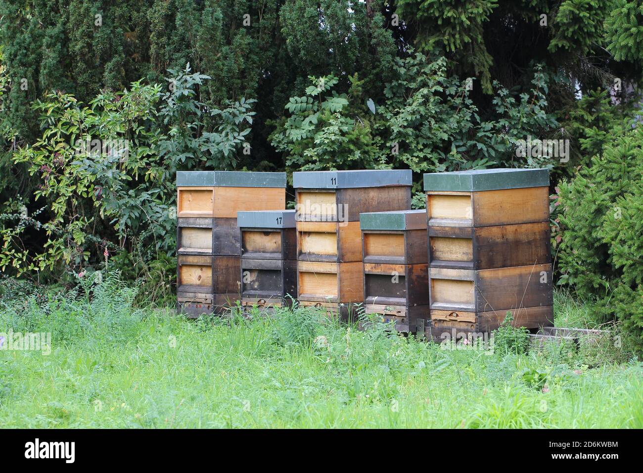 Apiary in a garden with trees in the back during daylight Stock Photo ...