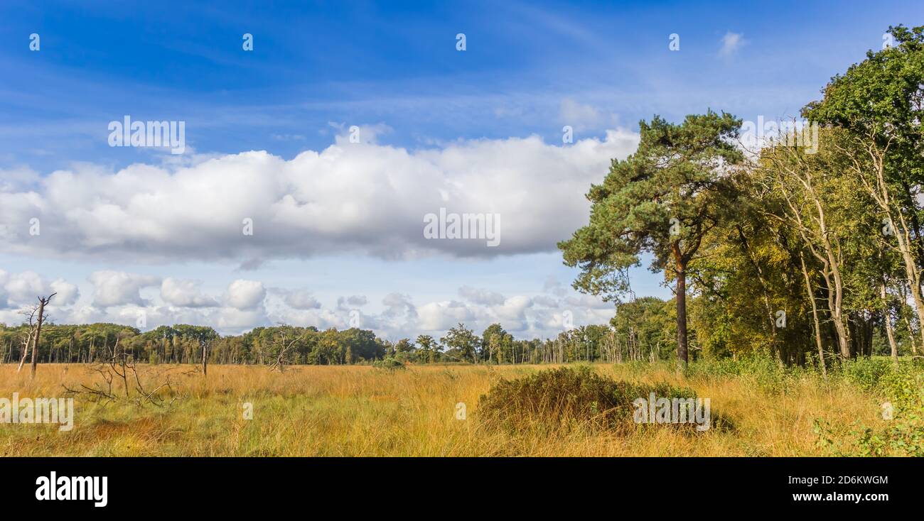 Grass plains hi-res stock photography and images - Alamy