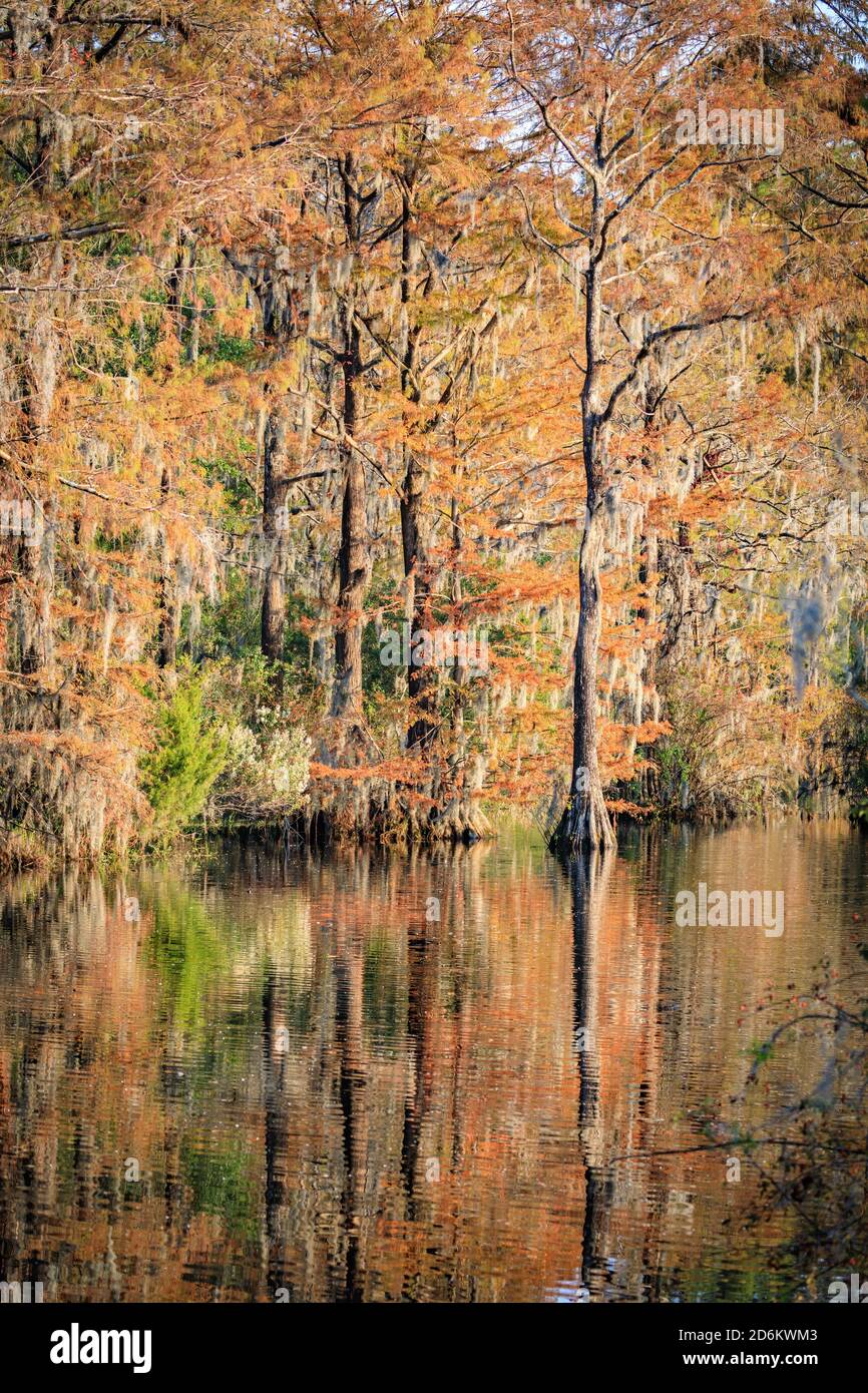 Greenfield lake hi-res stock photography and images - Alamy