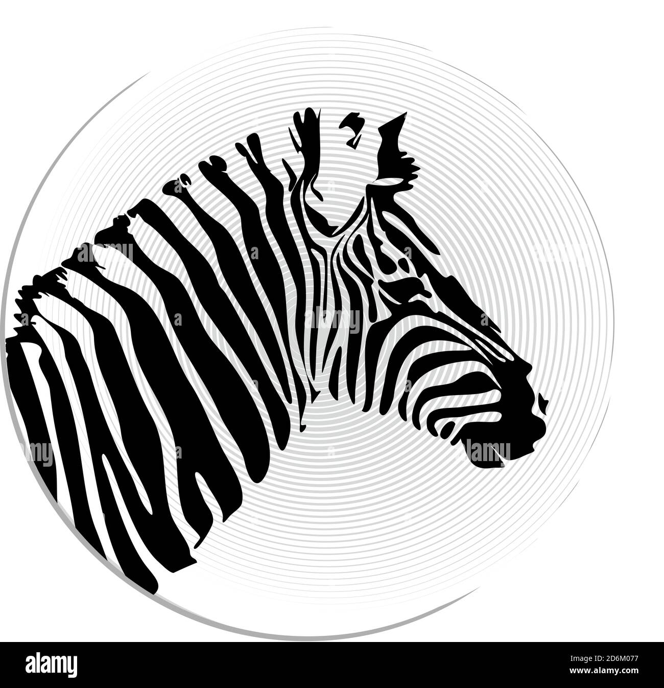 Vector Image of an Zebra Head Stock Vector Image & Art - Alamy