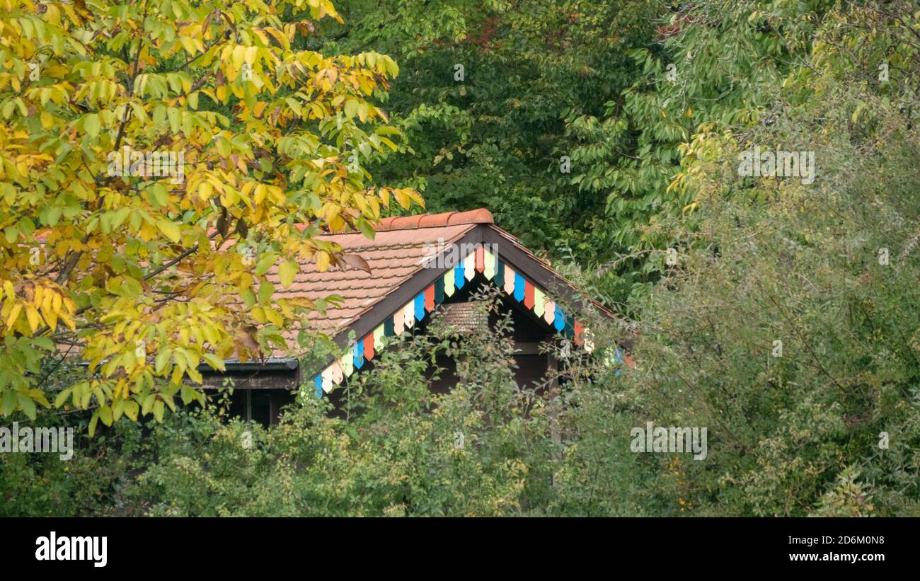 Colorfully decorated house hidden in the forest Stock Photo - Alamy