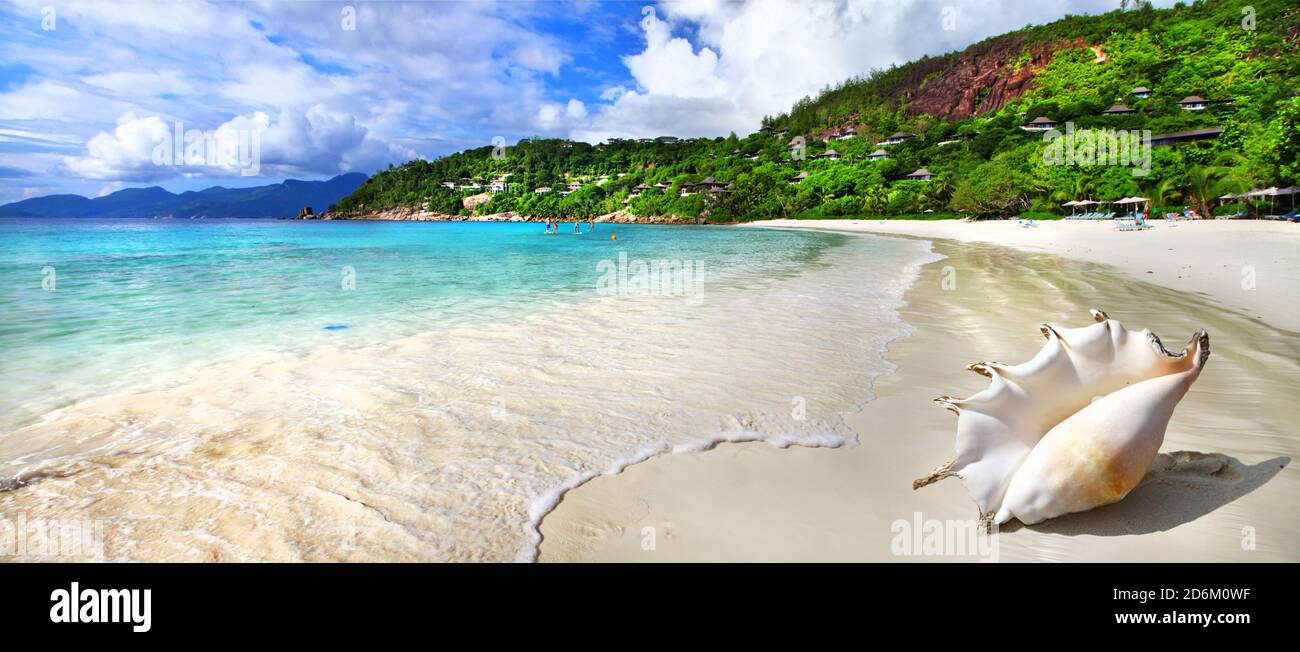Tropical idyllic beach scenery. Sea shell on white sandy beach Stock ...