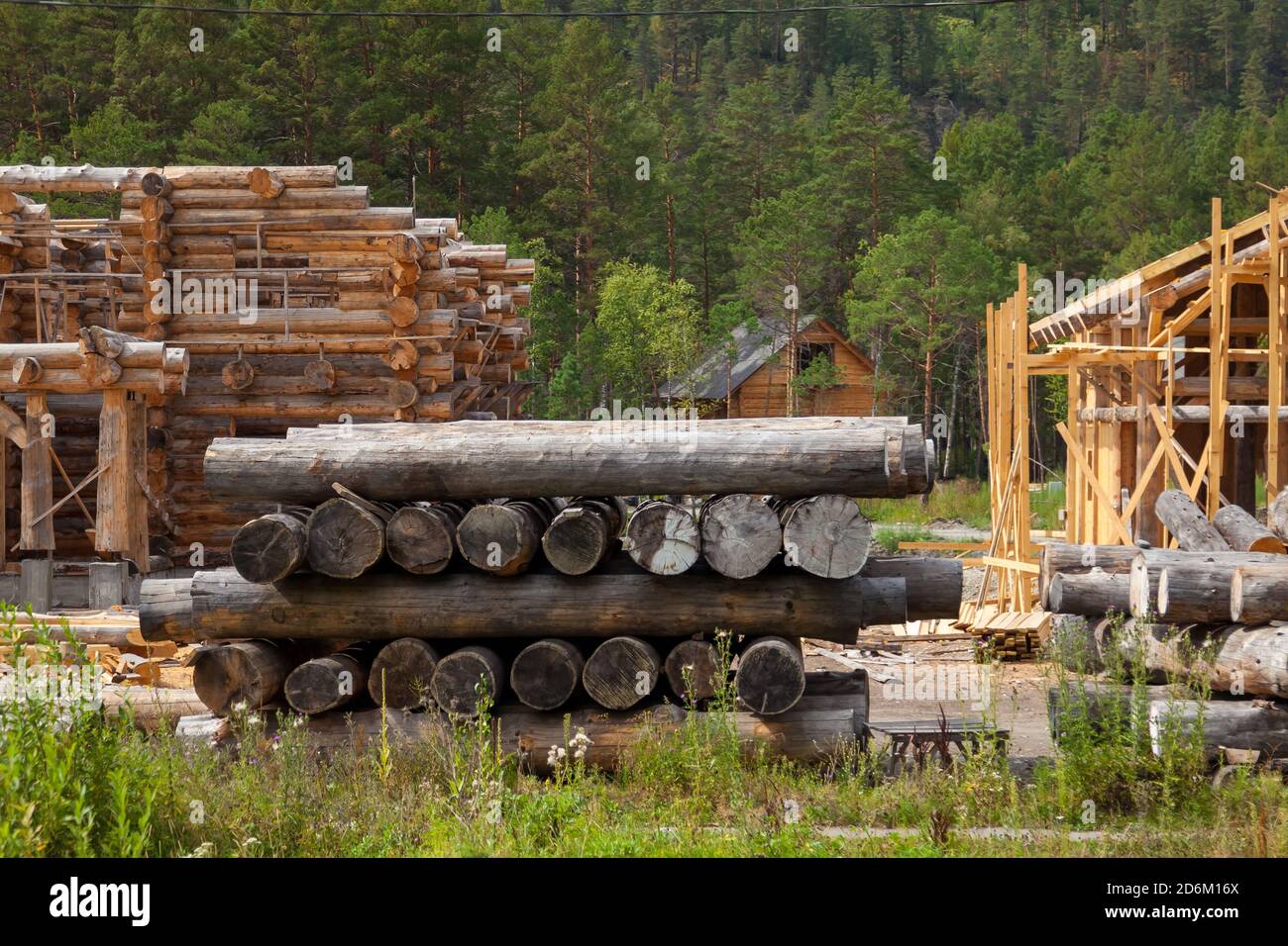 Large sawn round pine trees are laid in a pile for preparation of the ...