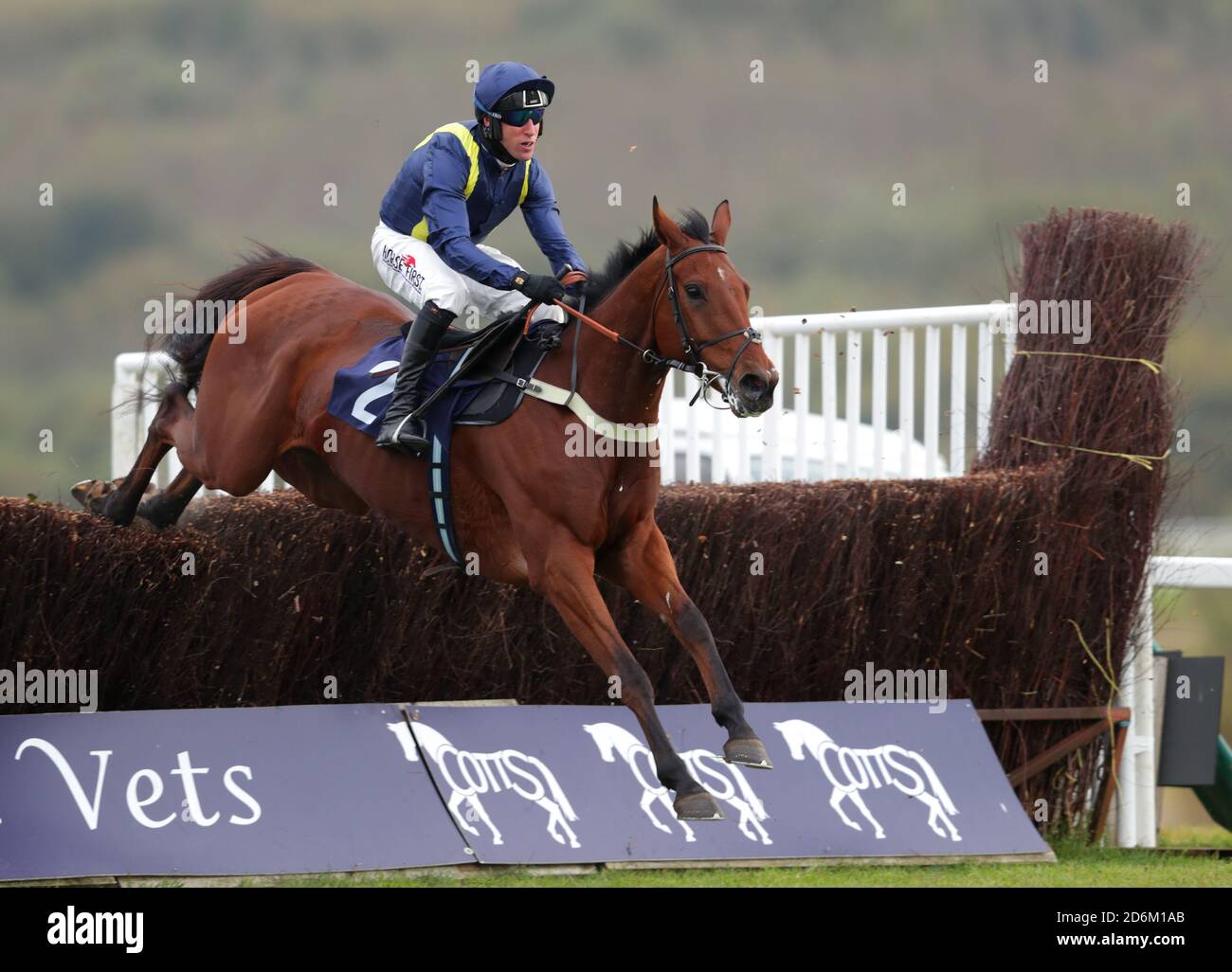 Fiddlerontheroof horse hi-res stock photography and images - Alamy