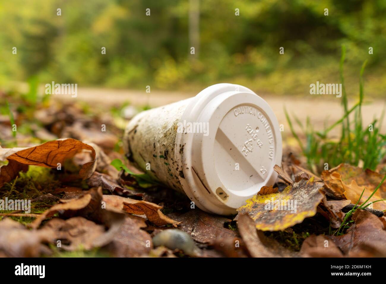 Old disposable coffee cup in the forest. Plastic recycling, pollution ...