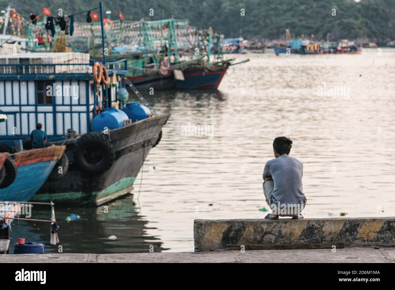 Fishing boats in Ha Long Bay, Cat Ba Island, Vietnam, descending dragon ...