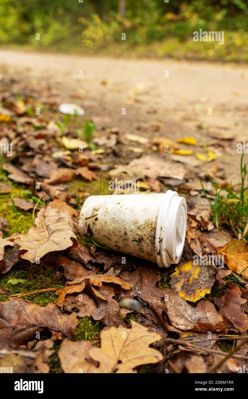 Old disposable coffee cup in the forest. Plastic recycling, pollution ...